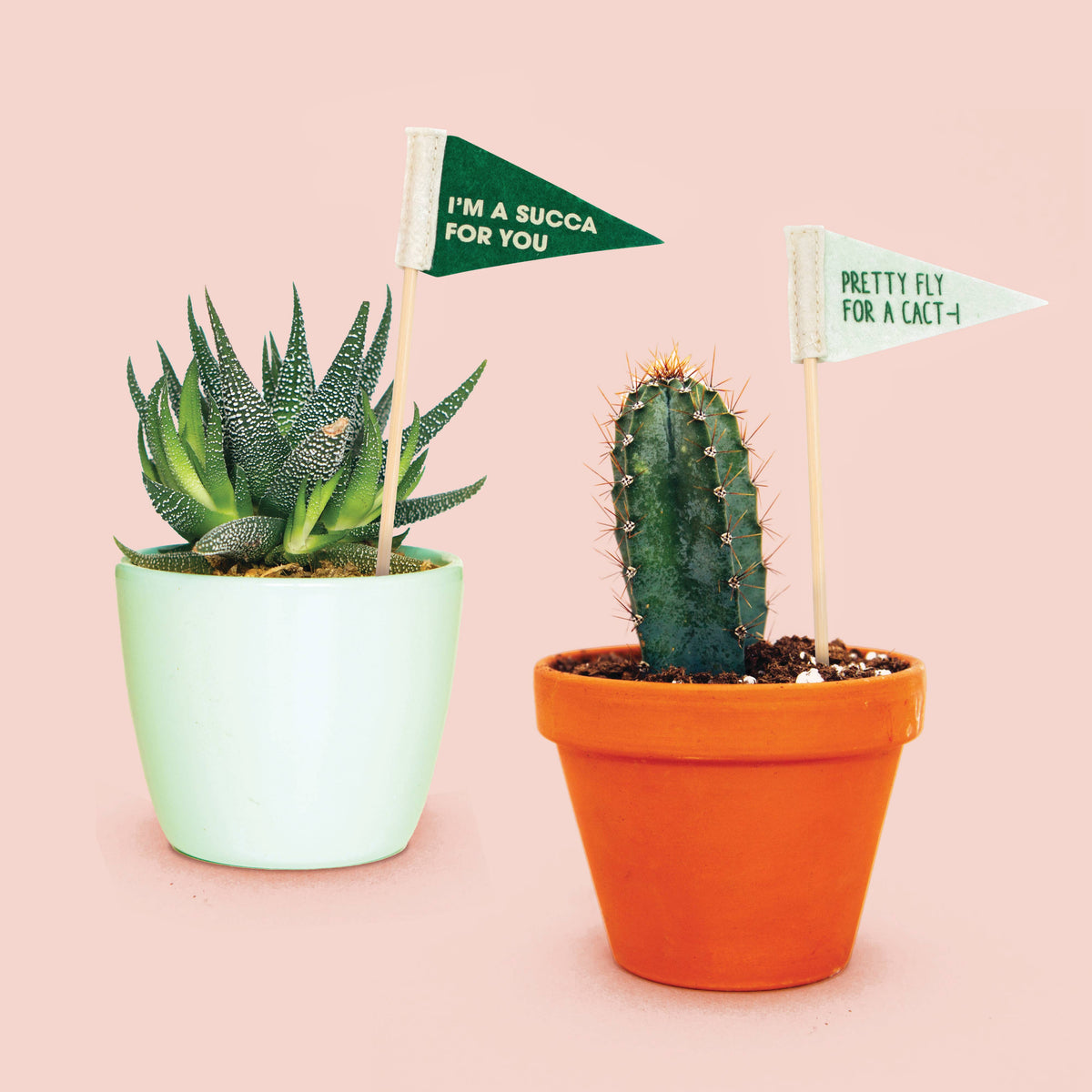 Decorative Plant Flags - 5 Pack – RunningonBlooms